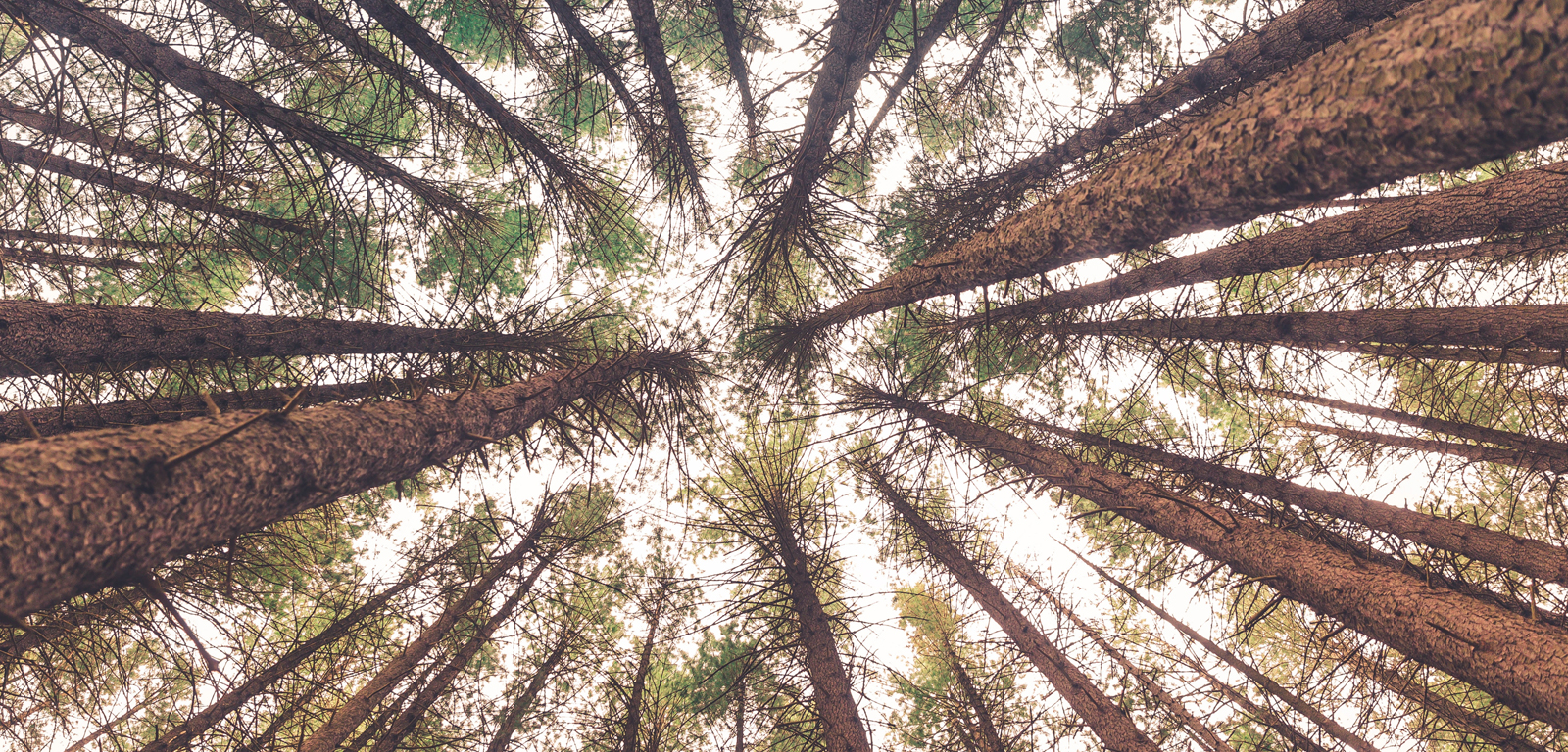 Residential Real Estate - Pennsylvania | Claire & Michael Dembinski