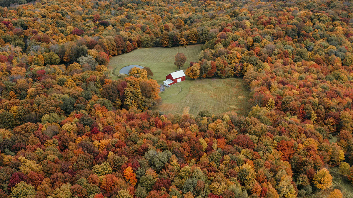 Residential Real Estate - Pennsylvania | Claire & Michael Dembinski